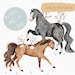 Horse Seamless Pattern Pony Digital Paper Horse-riding Repeat Pattern ...