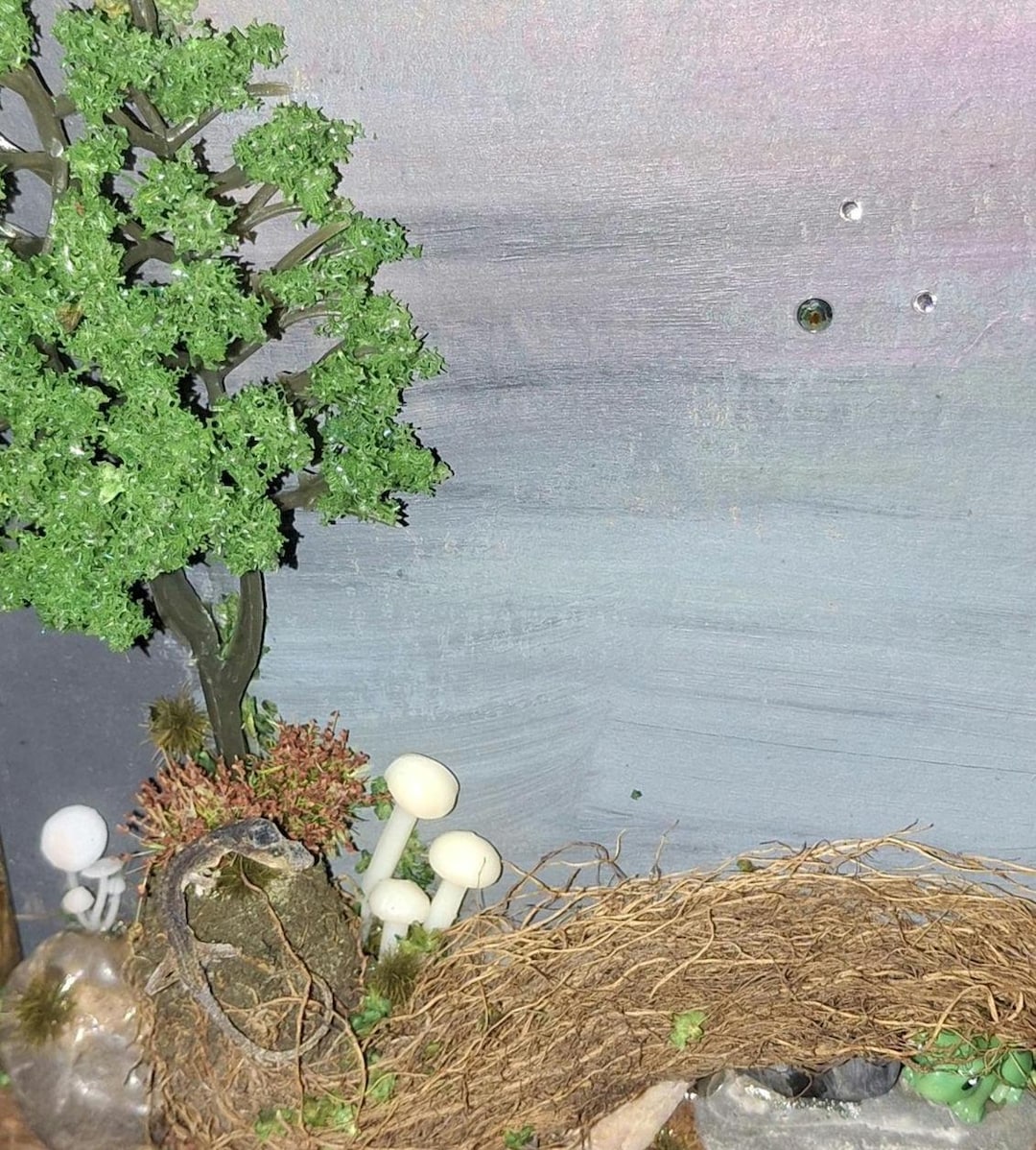 Mini World Real Mummified Brown Anole Wall Art - Etsy