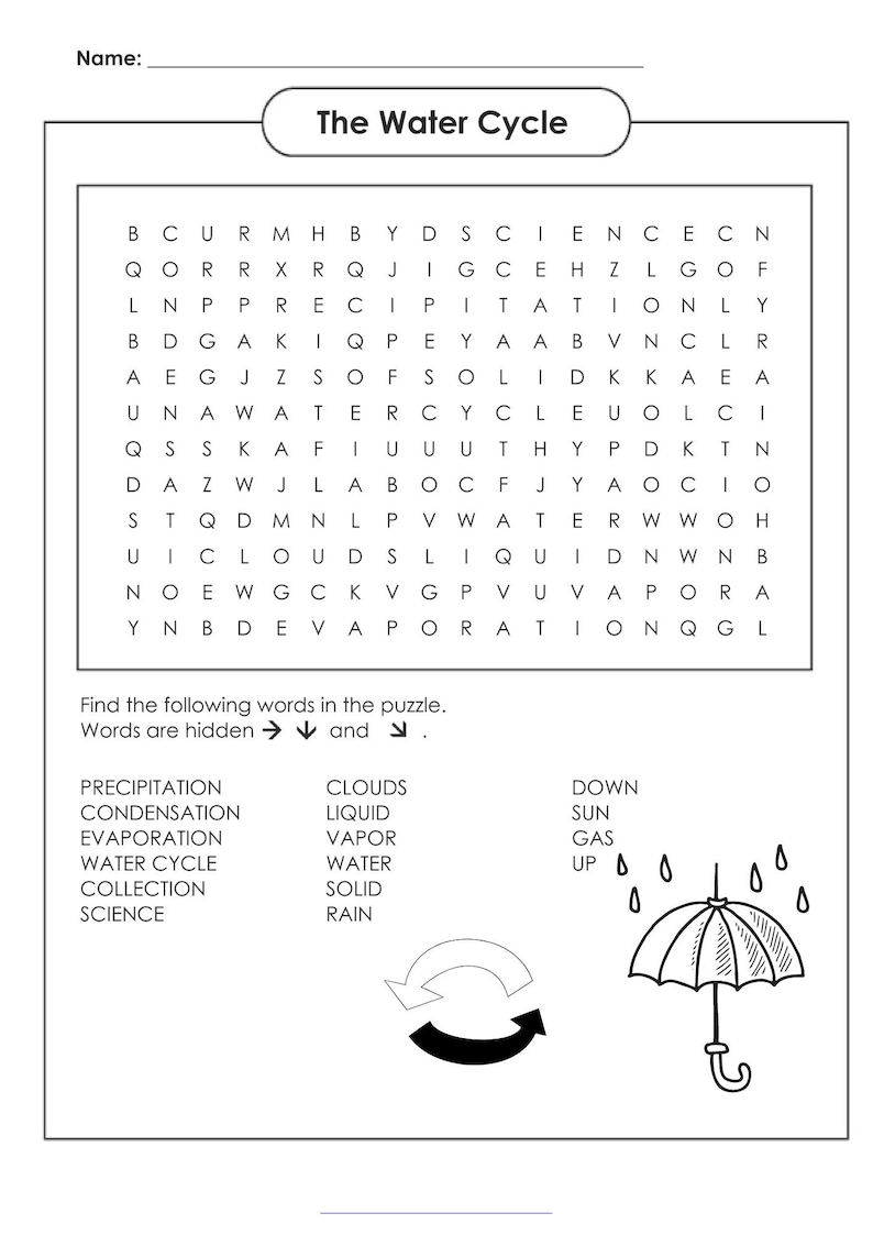 The Water Cycle Word Search Digital Download - Etsy
