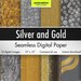 Silver and Gold DIGITAL SEAMLESS PAPER Luxe Elegant Glitter - Etsy