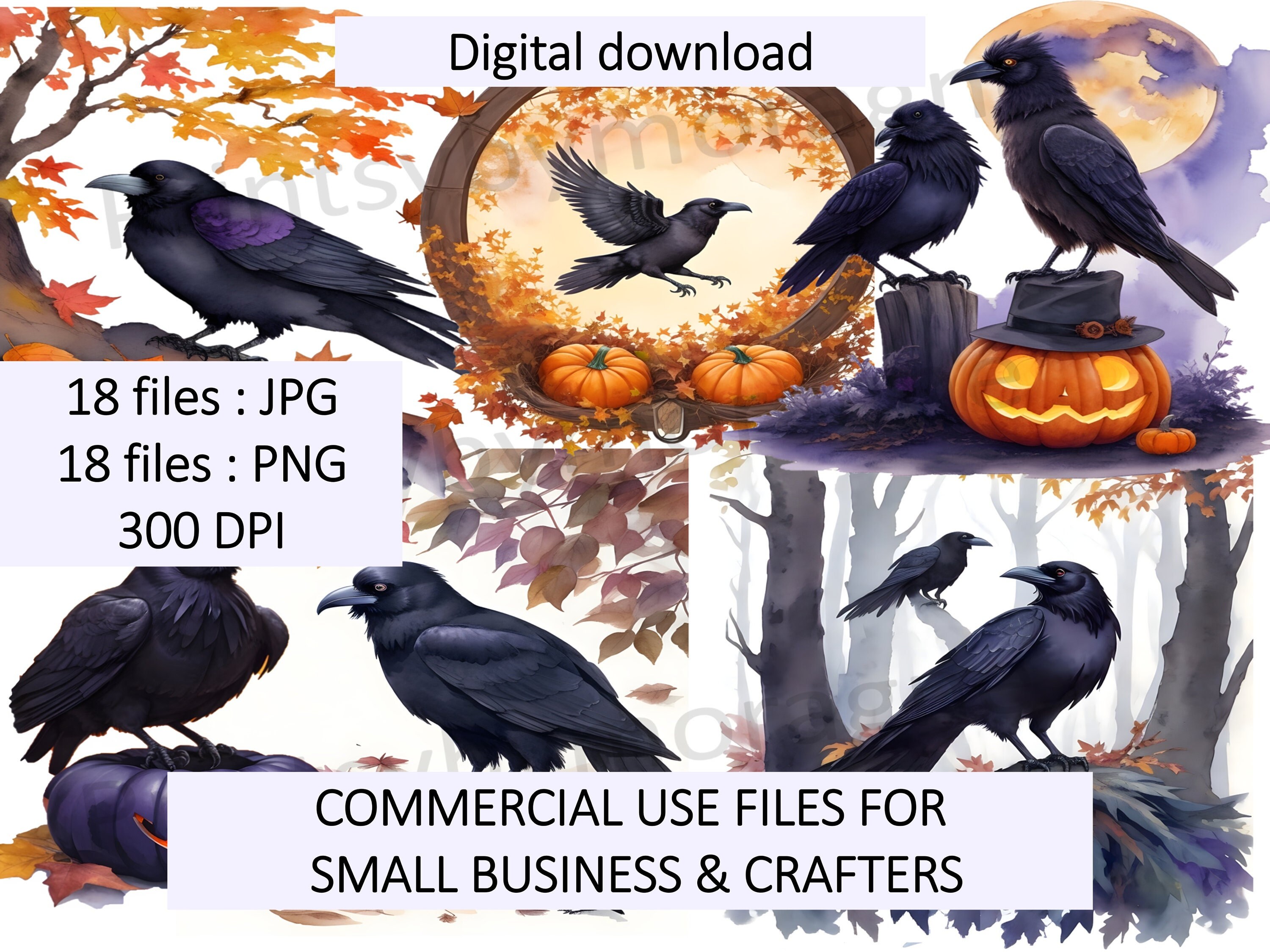Raven and Pumpkin Fall Digital Art - Etsy