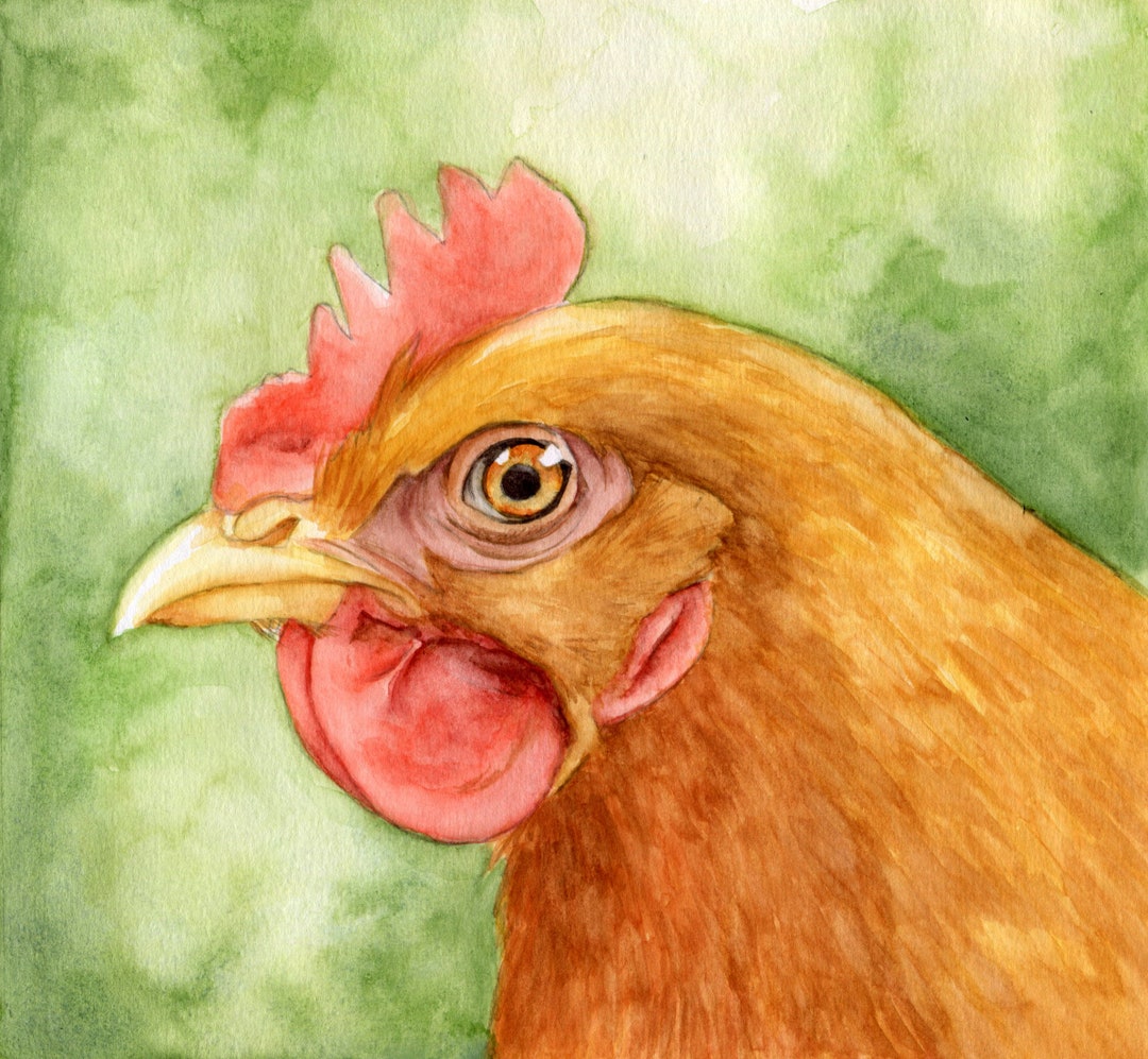 Watercolor Hen PRINT - Etsy