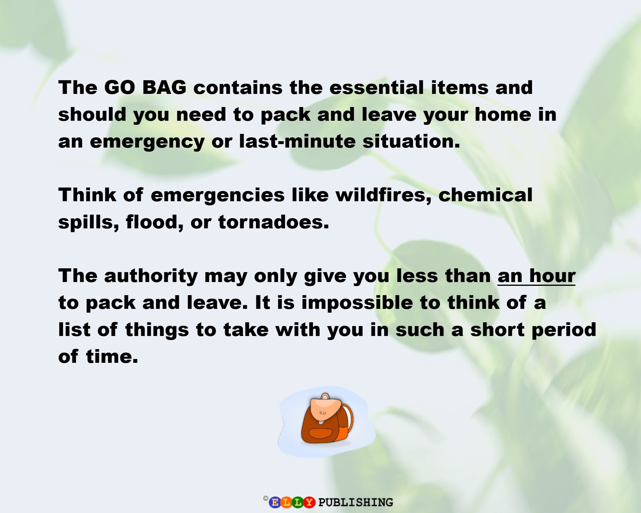 Go Bag, Packing List, Go Bag Packing, Last Minute, Urgent, Flood ...