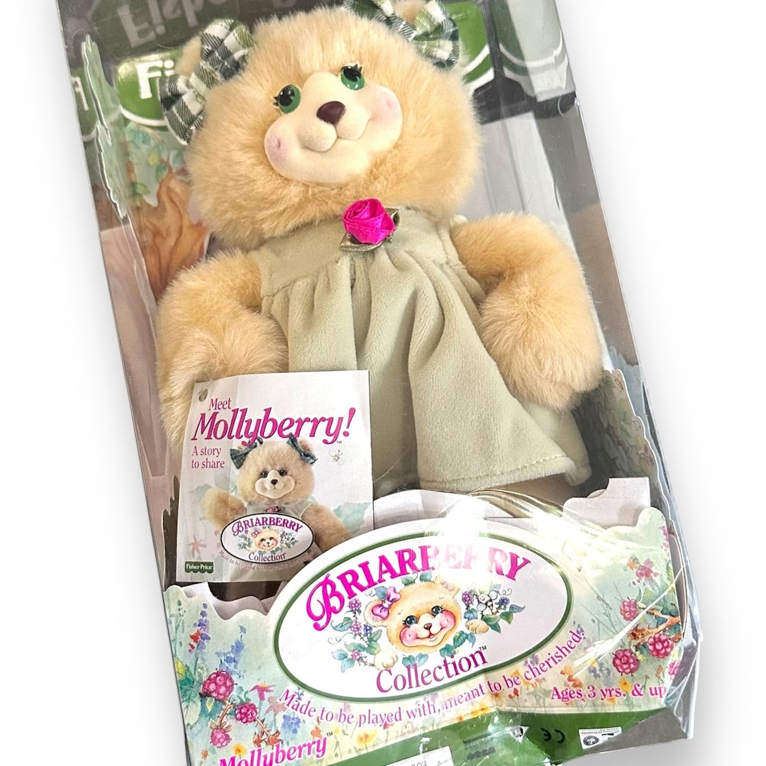 Vintage 1999 Fisher Price Briarberry Teddy Bear Cottagecore Pink NIB - Etsy