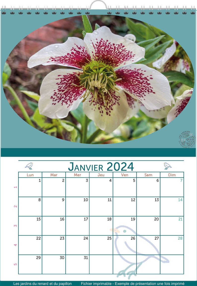 Flowers 2024 Calendar to Print A4 Portrait Format - Etsy Australia