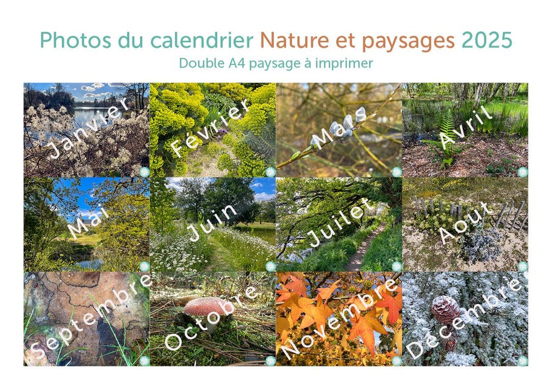 Nature and Landscapes 2025 Calendar to Print double A4 Landscape Format ...