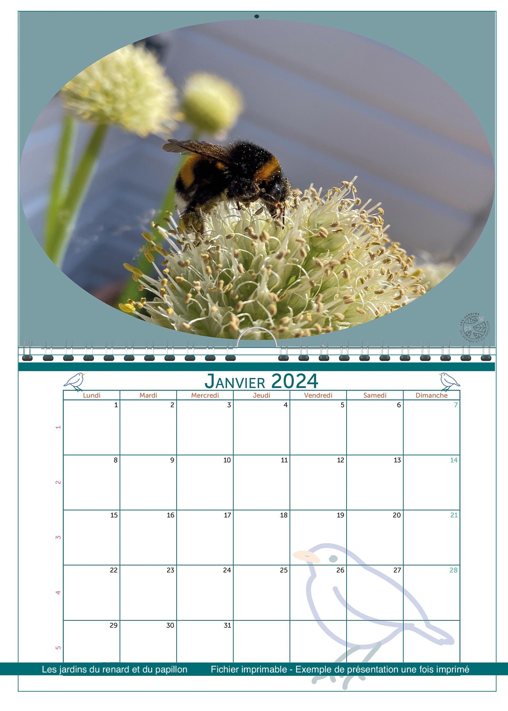 Insects 2024 Calendar to Print double A4 Landscape Format - Etsy