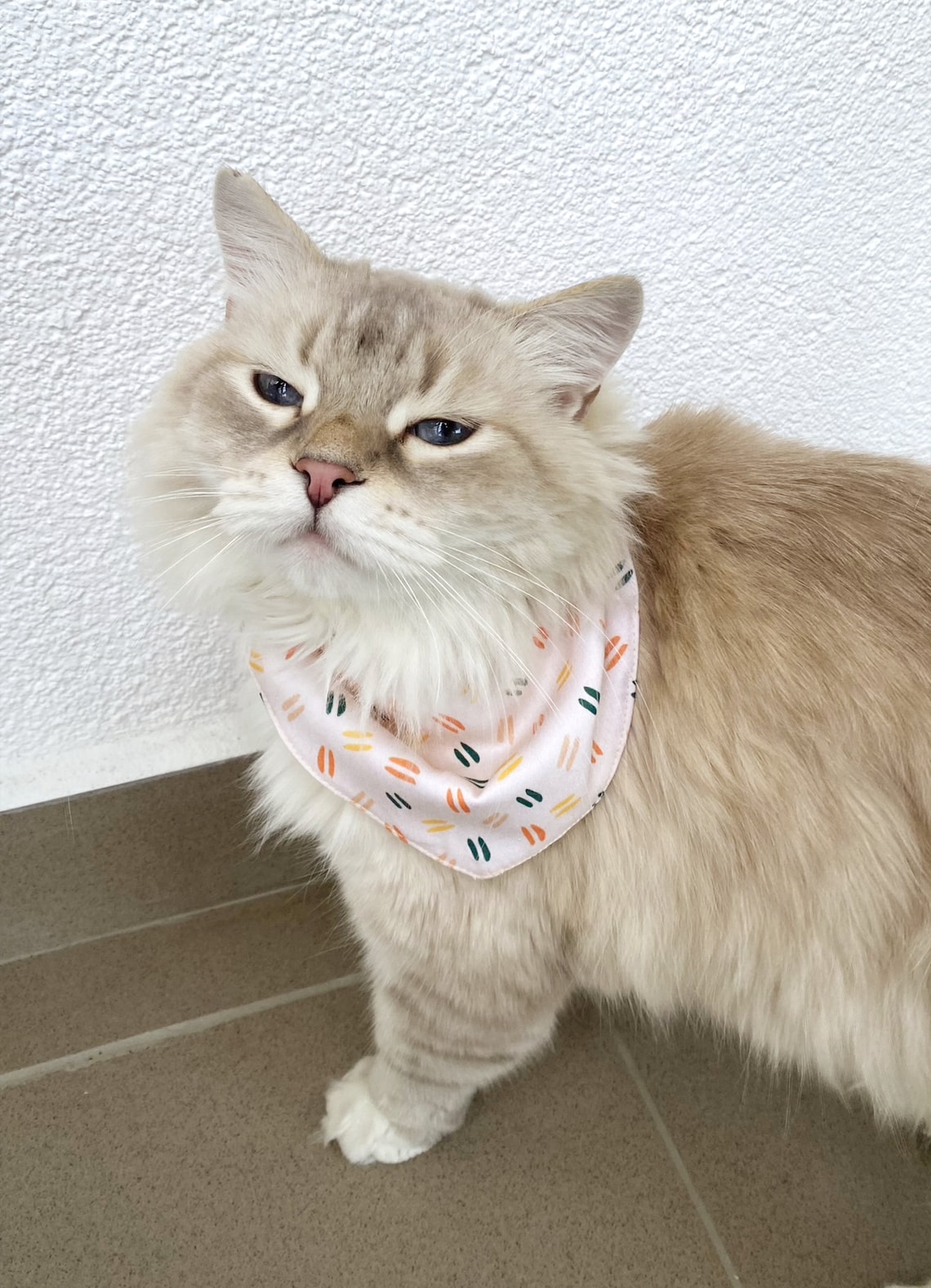 Autumn Leaves Tie on Cat Bandana Matching Owner Scrunchie - Etsy