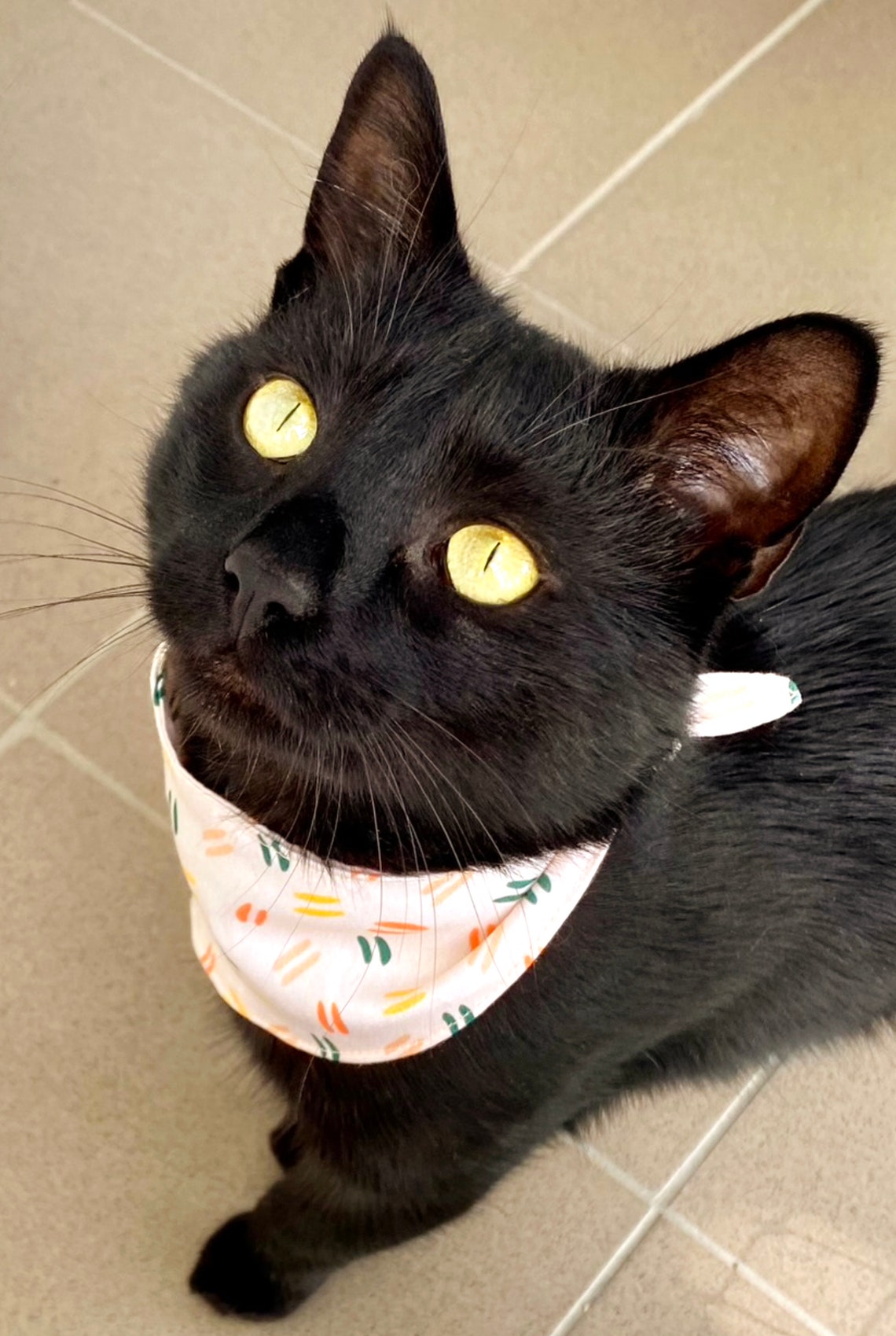 Autumn Leaves Tie on Cat Bandana Matching Owner Scrunchie - Etsy