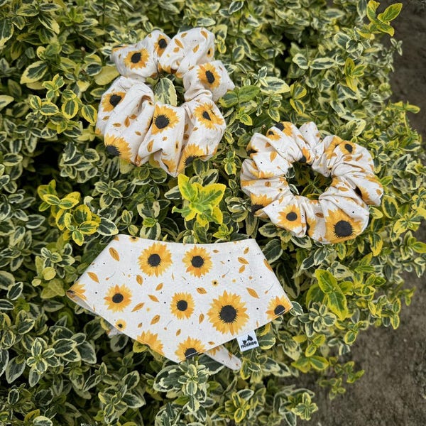 Autumn Leaves Tie on Cat Bandana, Matching Owner Scrunchie, Breathable ...