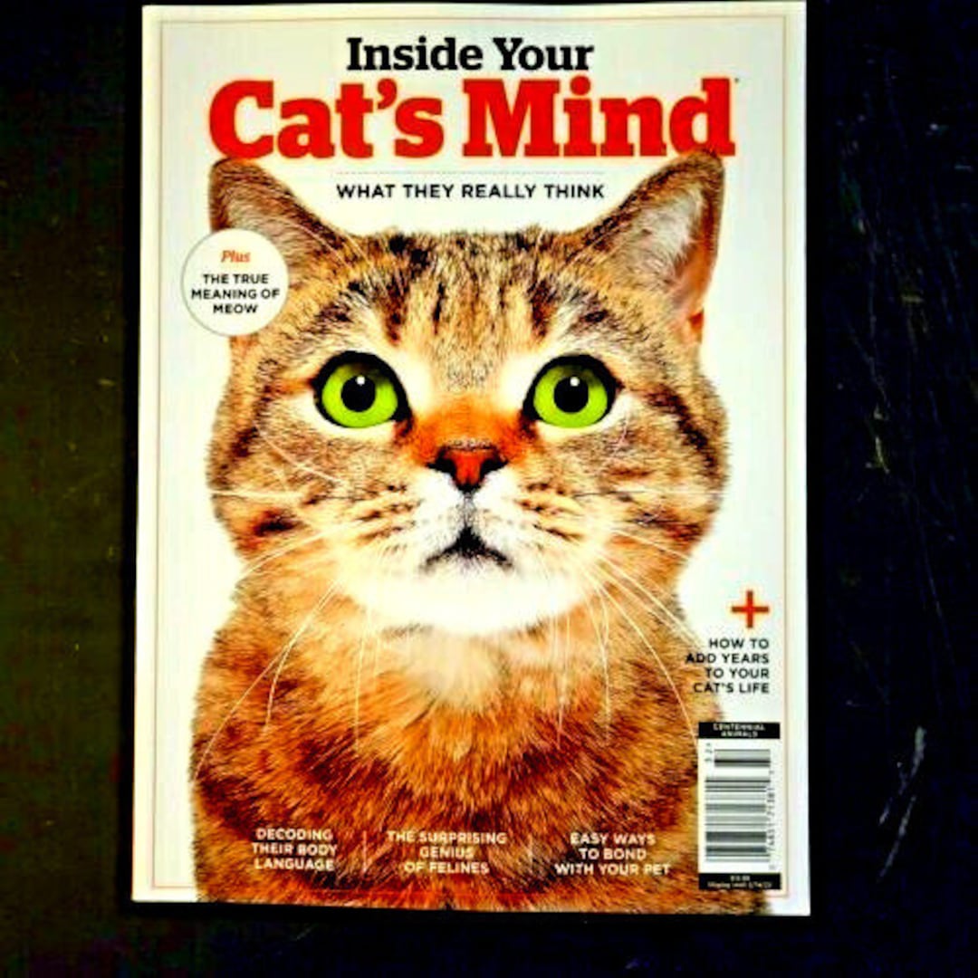 Inside Your Cat's Mind- What They Really Think- Plus the True Meaning ...