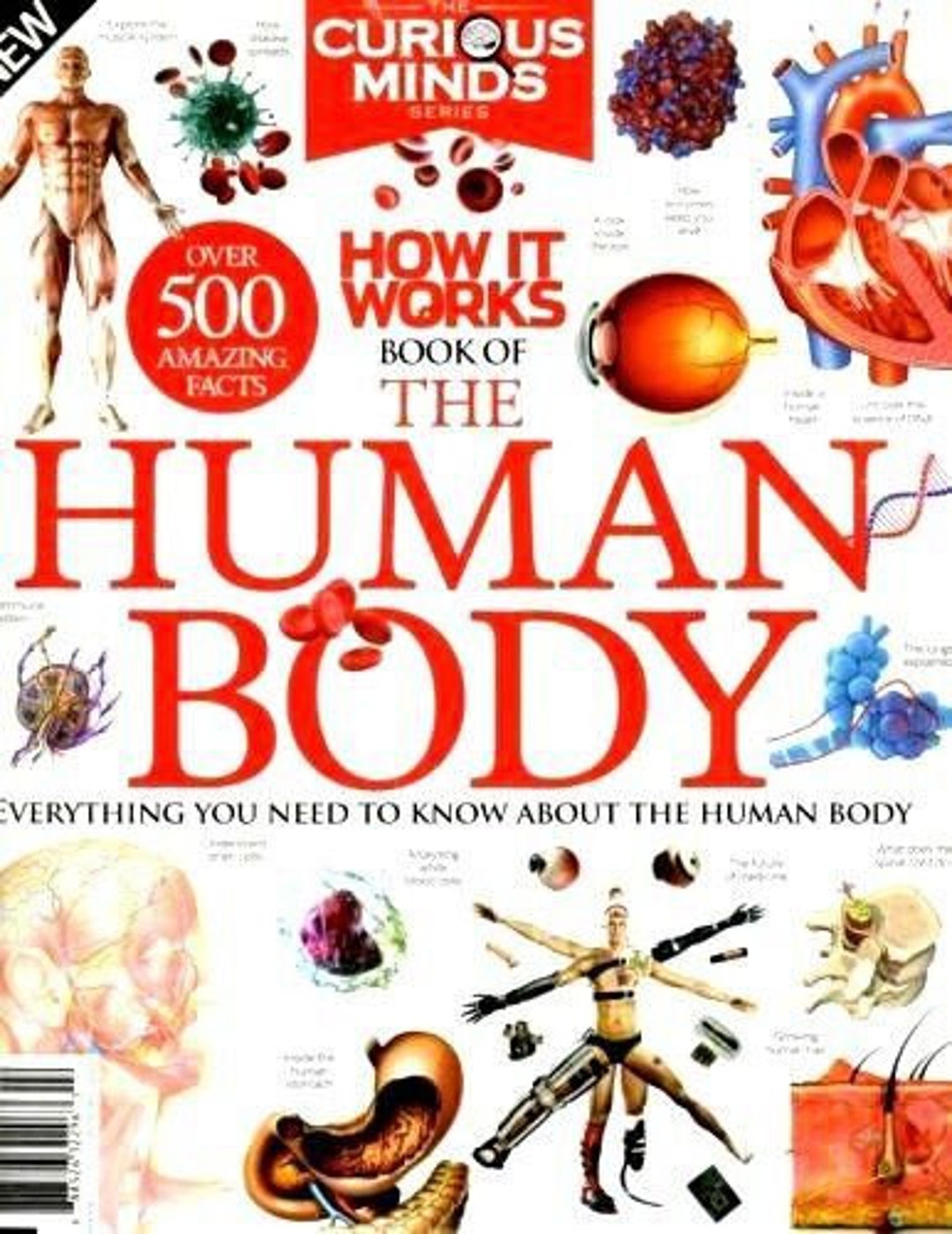 The Curious Minds Series: How It Works Book of the Human Body (2019) - Etsy