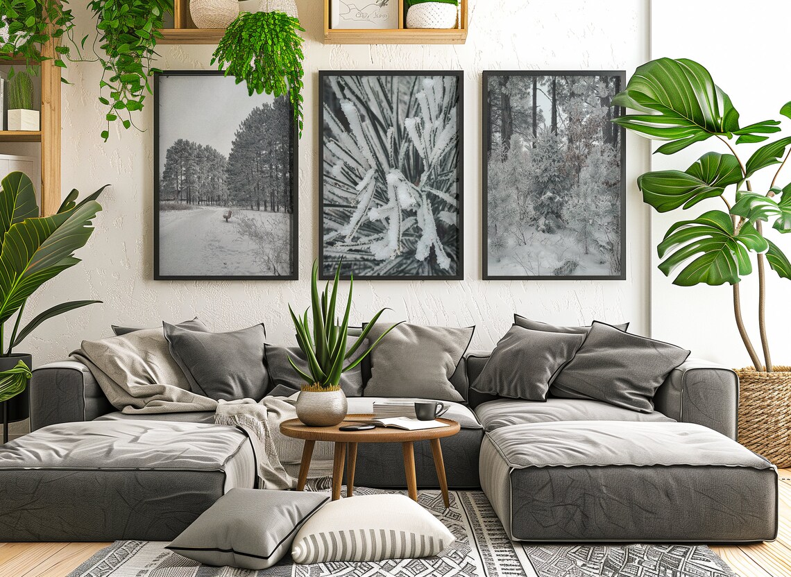 Digital Photo Download Wall Art 3 Pack 11 X14 Only - Etsy