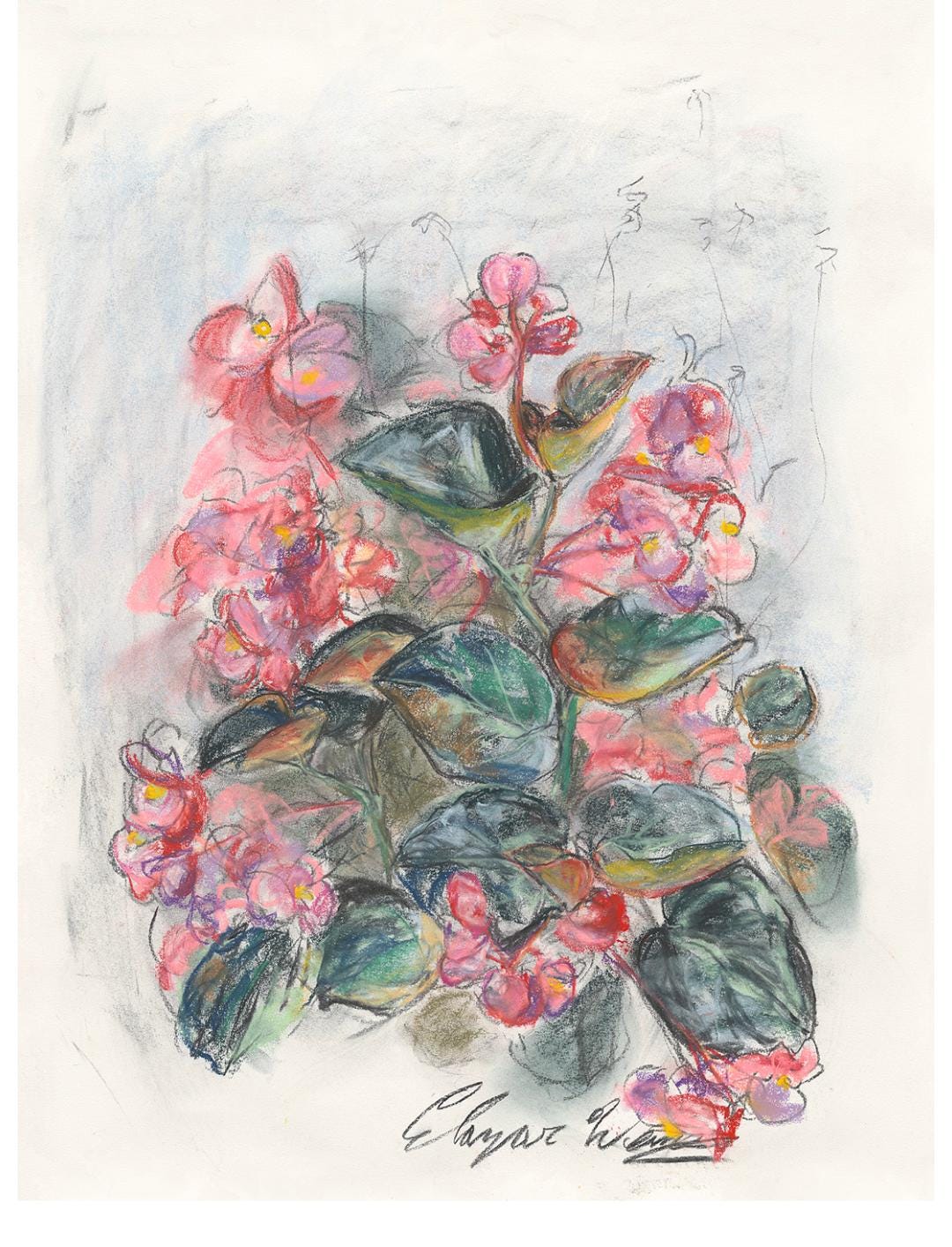 Vibrant Begonias Art Print | Floral Wall Decor | Colorful Botanical ...