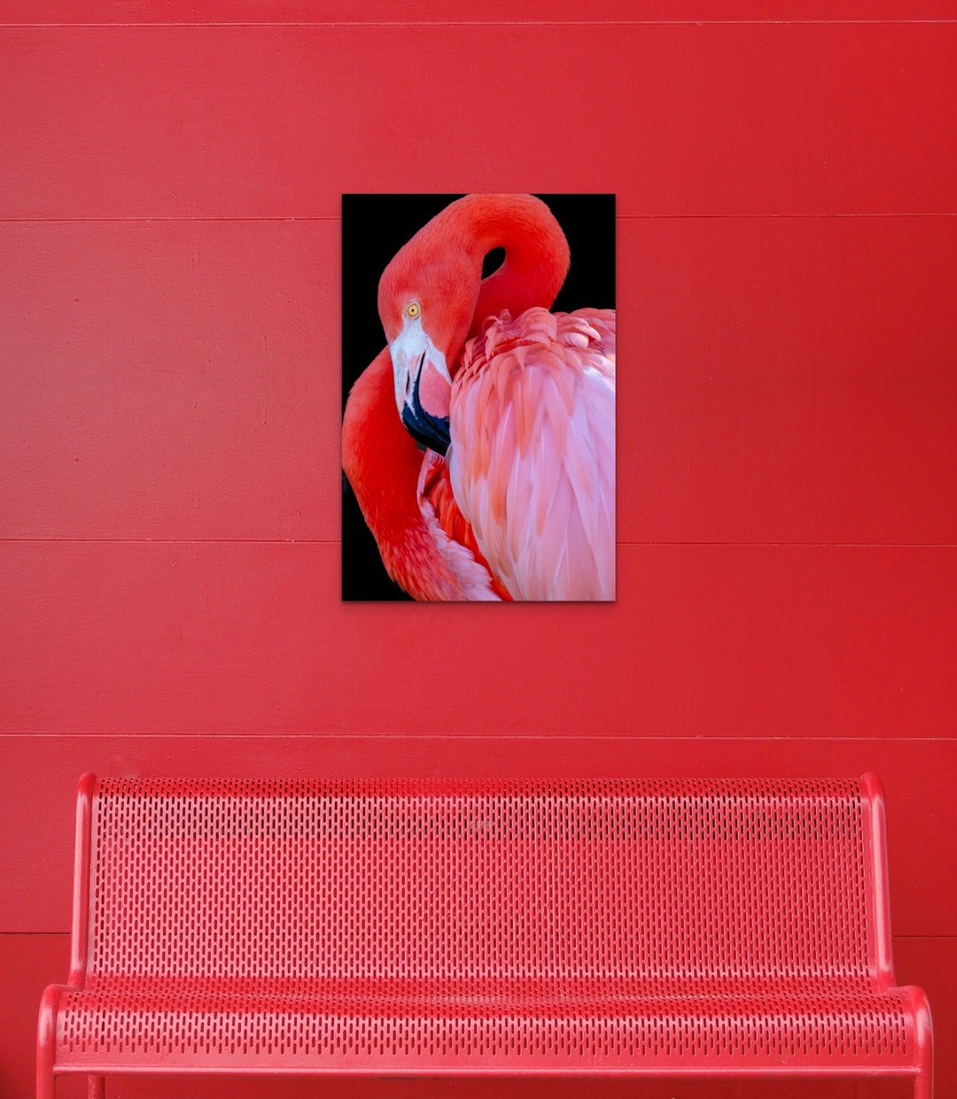Pretty in Pink Original Photography, Tropical Wall Art, Flamingo ...