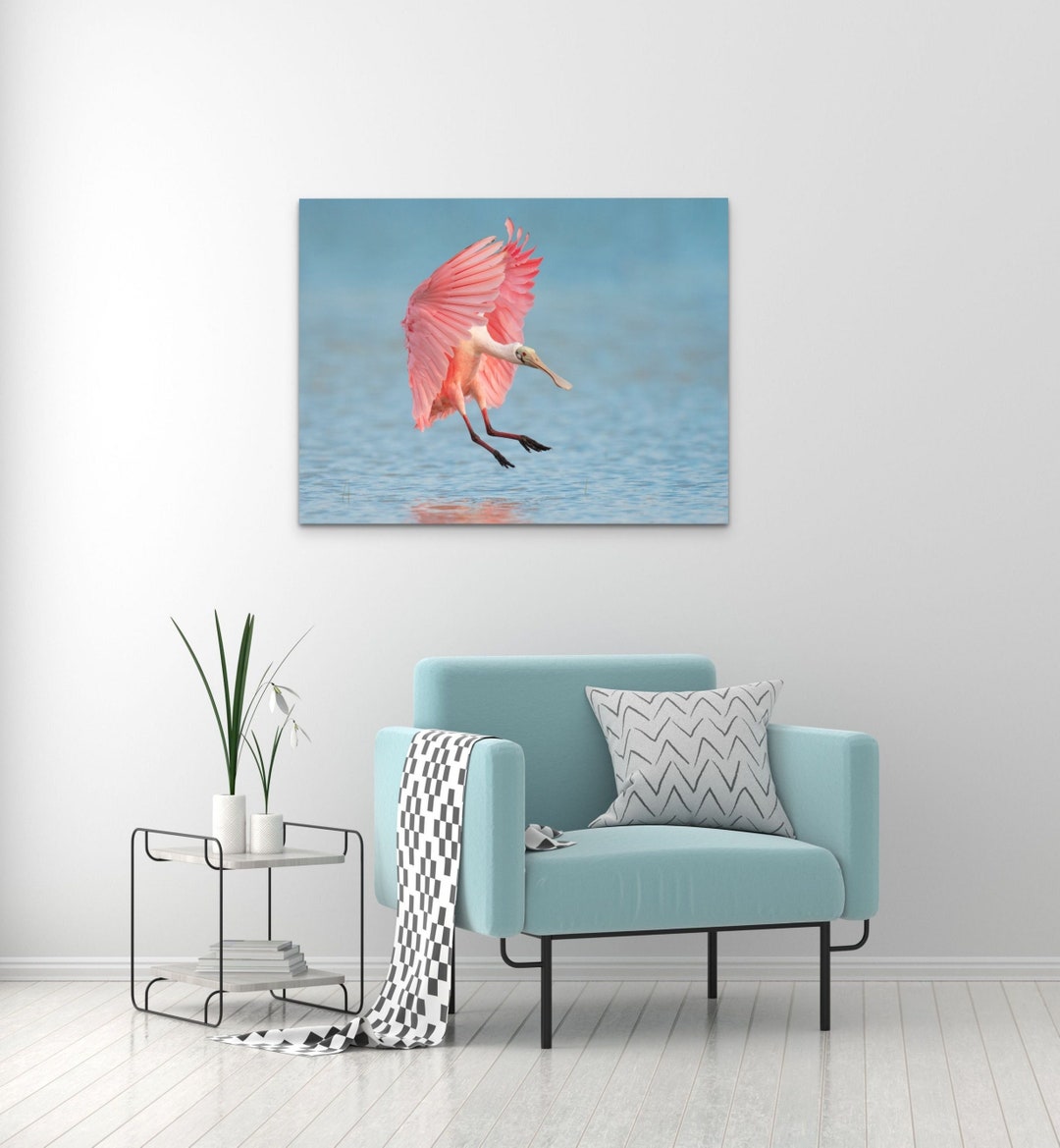 Marilyn's Landing Landscape Original Photography, Coastal Bird Wall Art ...