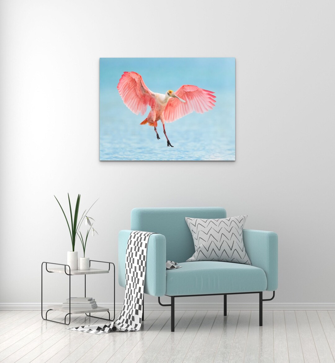 Coming in Hot - Roseate Spoonbill Original Photography, Coastal Décor ...