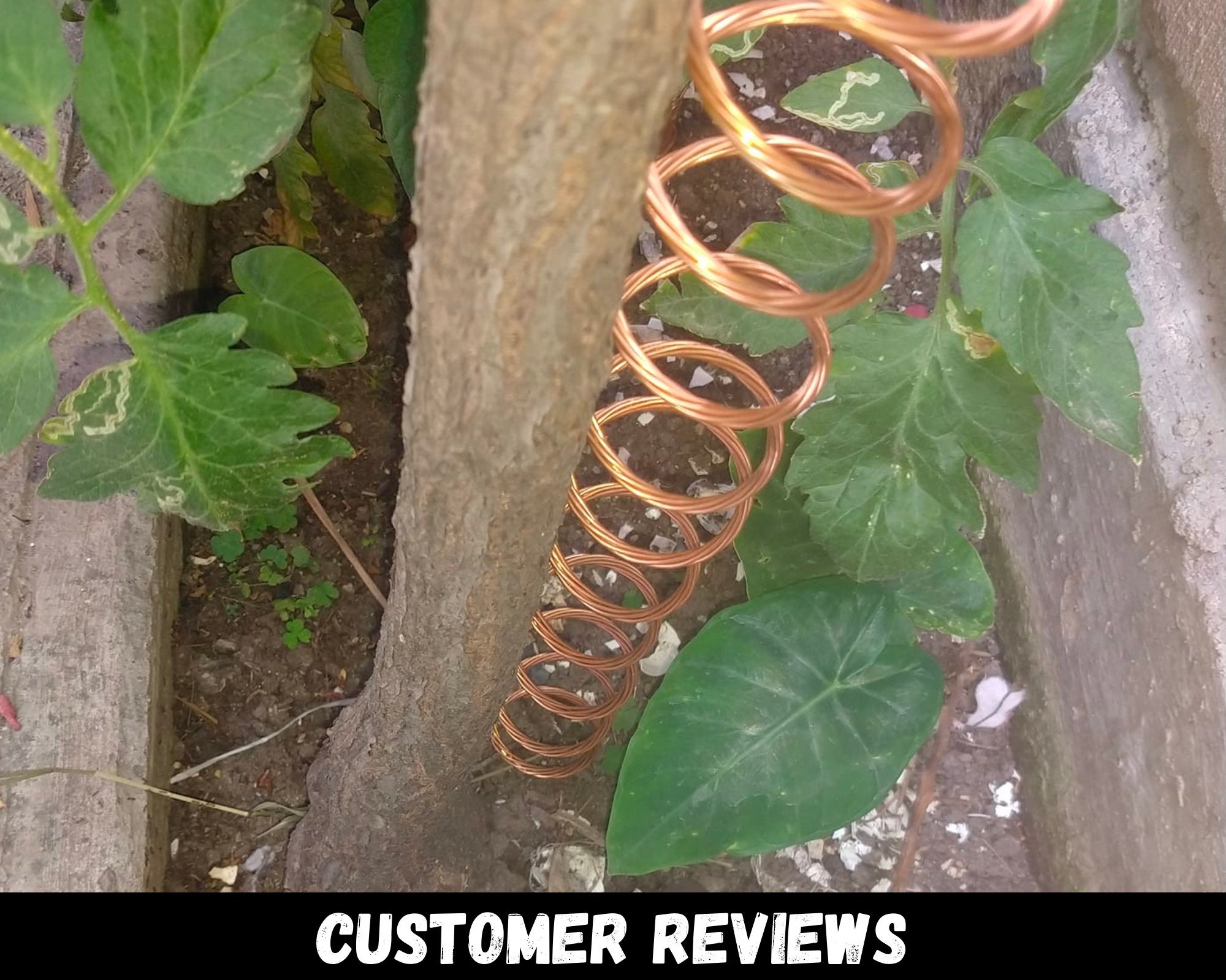 Coil Winding Jig for Electroculture Gardening 3 Sizes Small Medium ...
