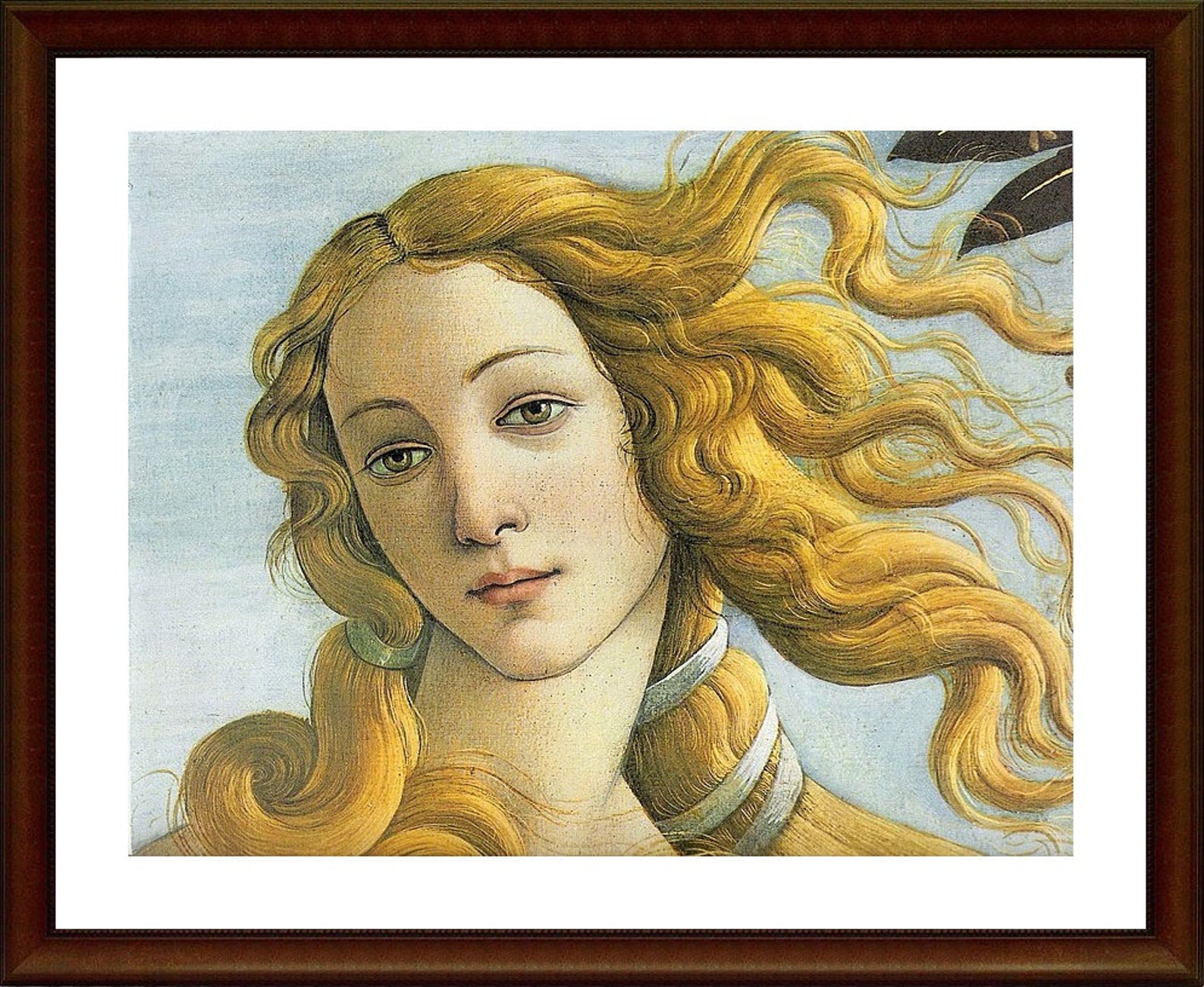 Venus Cross Stitch Patternthe Birth of Venus by Sandro - Etsy