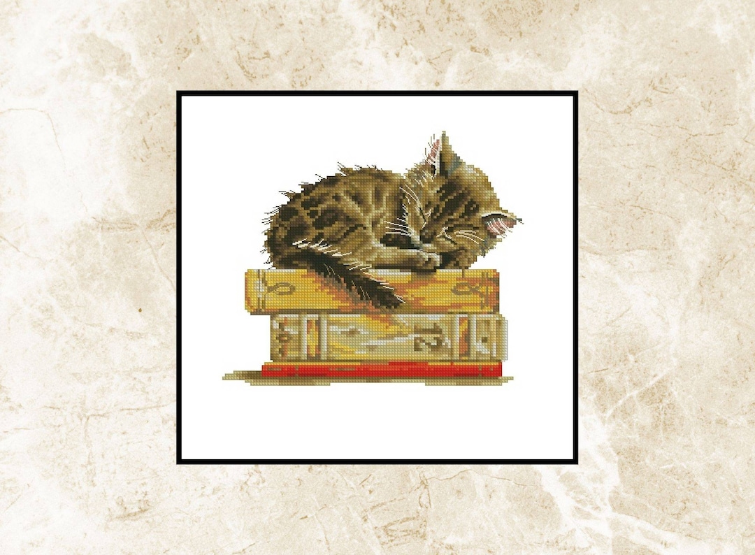 Cat and Book Cross Stitch Pattern,cat Literate,cats Dream,counted Cross ...