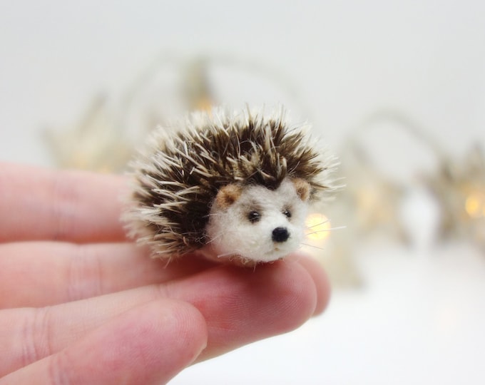 Little Reading Hedgehog, Mini Hedgehog, Miniature Hedgehog, Fairy ...
