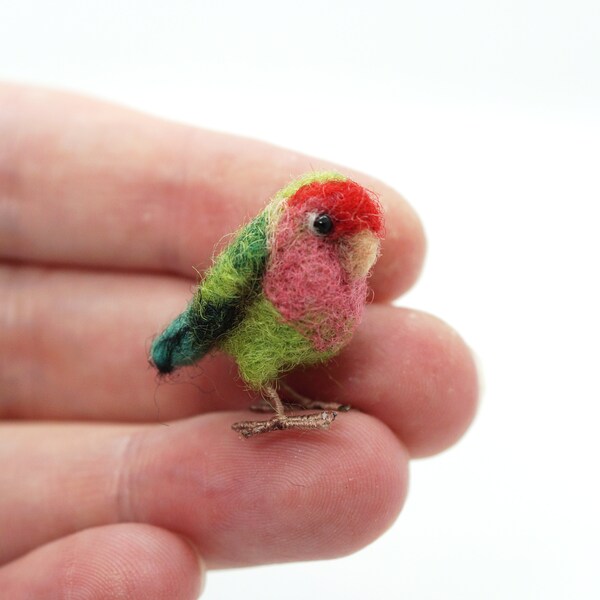 Needle Felted Parrot - Etsy