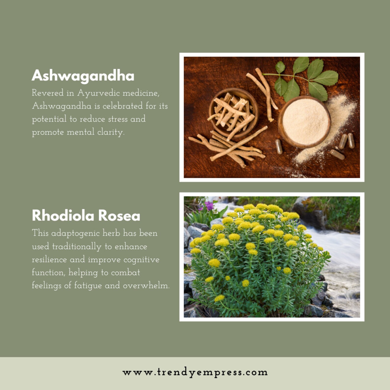 The Tower Anti Anxiety Tea, Stress Relief Tea, Herbal Remedies, Anxiety ...