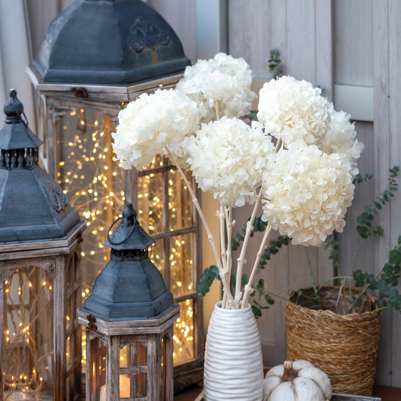 Preserved Hydrangea - Etsy