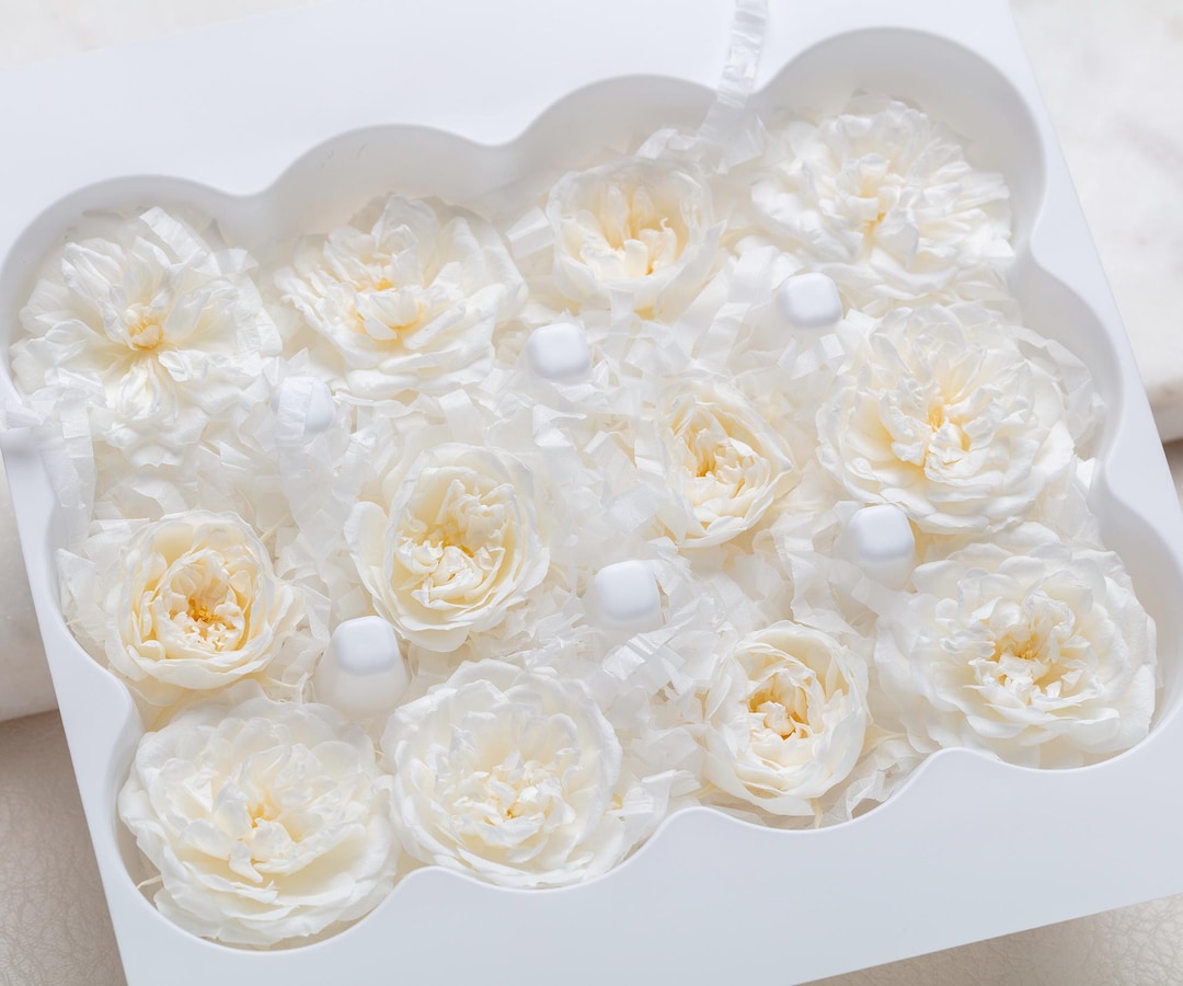 Preserved Roses Heads, Everlasting Long Lasting, Color White Milk ...