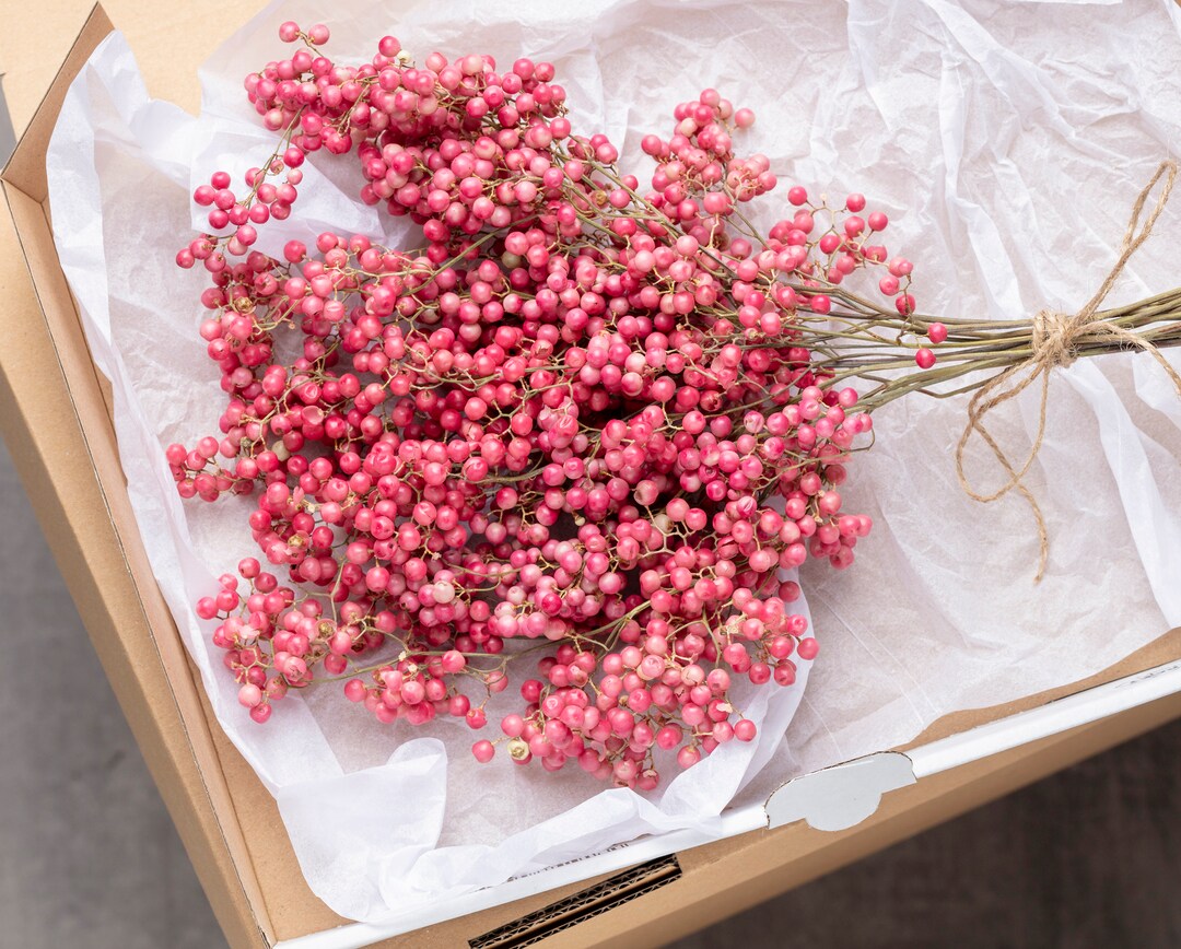 Pepper Tree, Pink Pepper Berry Stems, Dried Flowers, Dried Berries ...