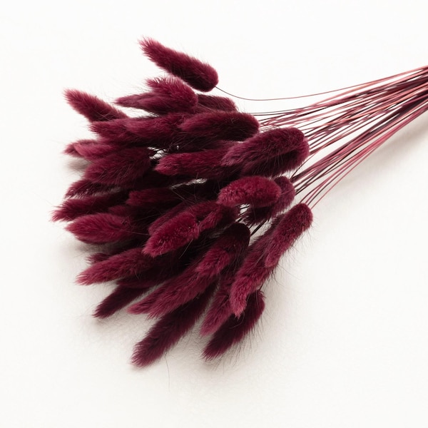 Burgundy Bunny Tails - Etsy UK