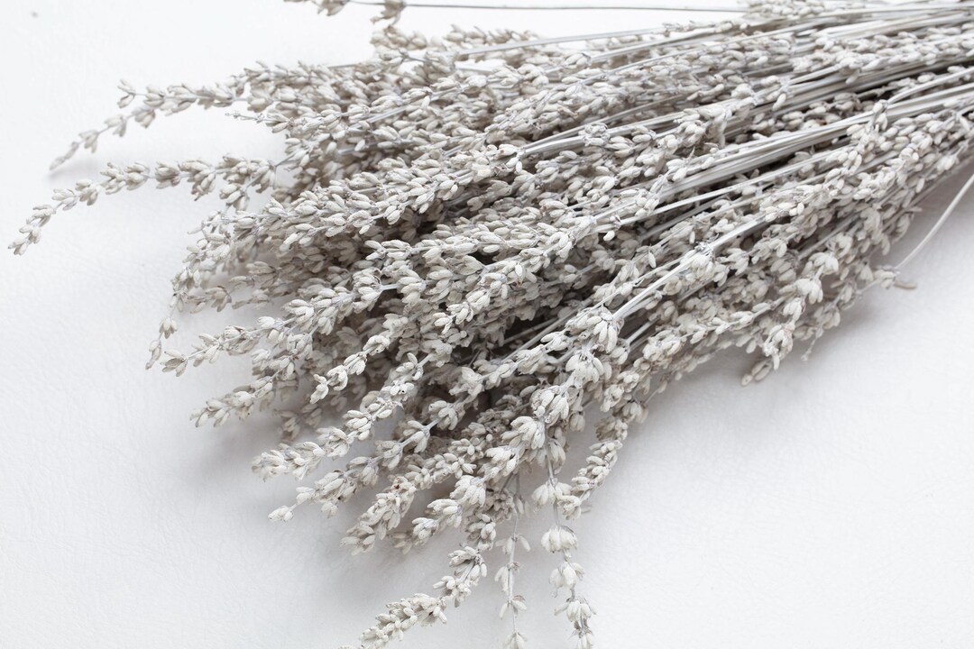 Preserved Lavender, White Color, Wedding Flowers, Home Decor, Lavanda ...
