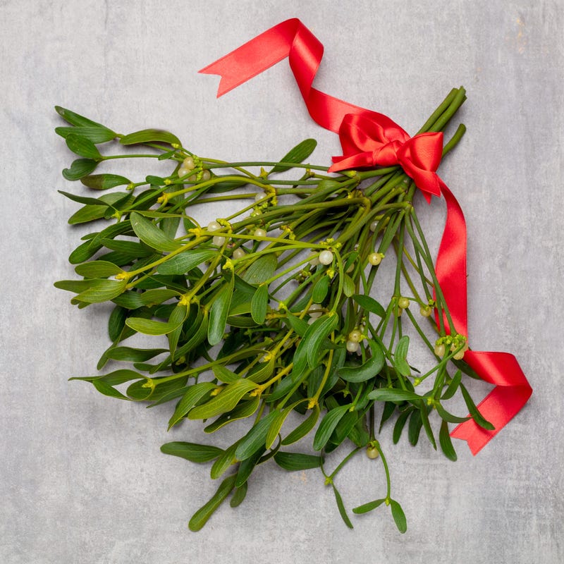 Christmas Mistletoe - Etsy