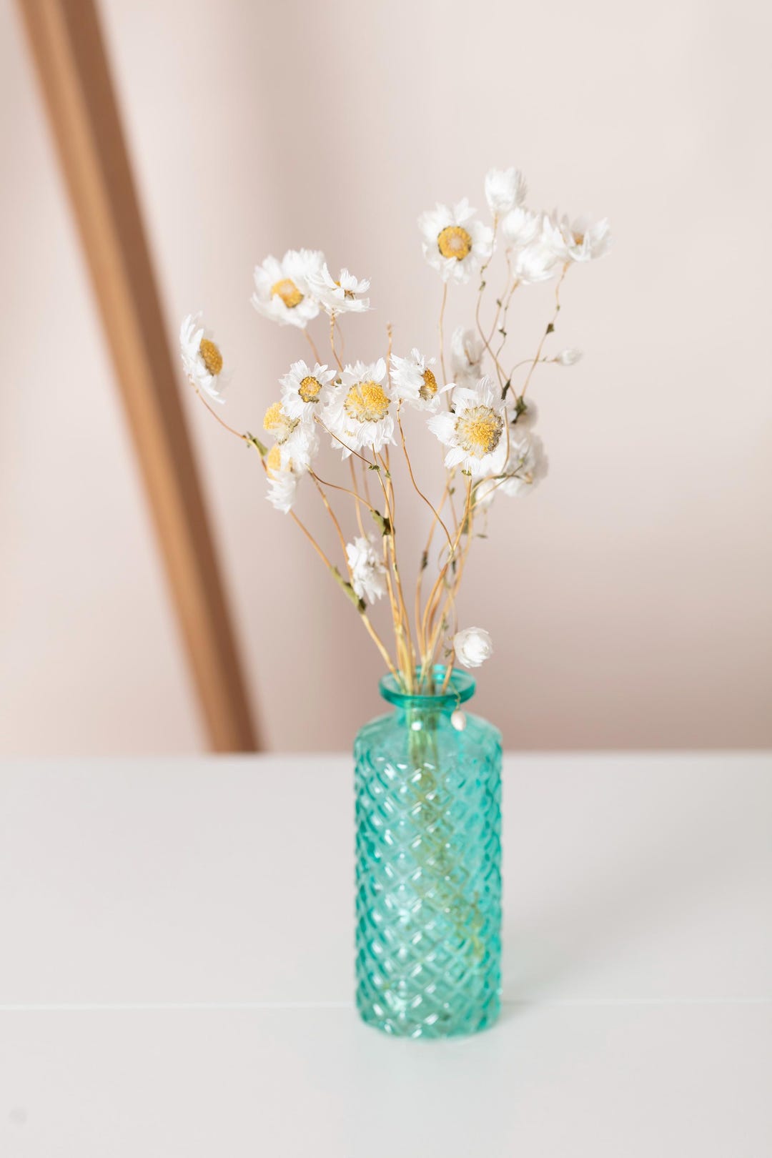 Ammobium, Dried White Daisies, Rodanthe Natural, Rustic Home Decor ...