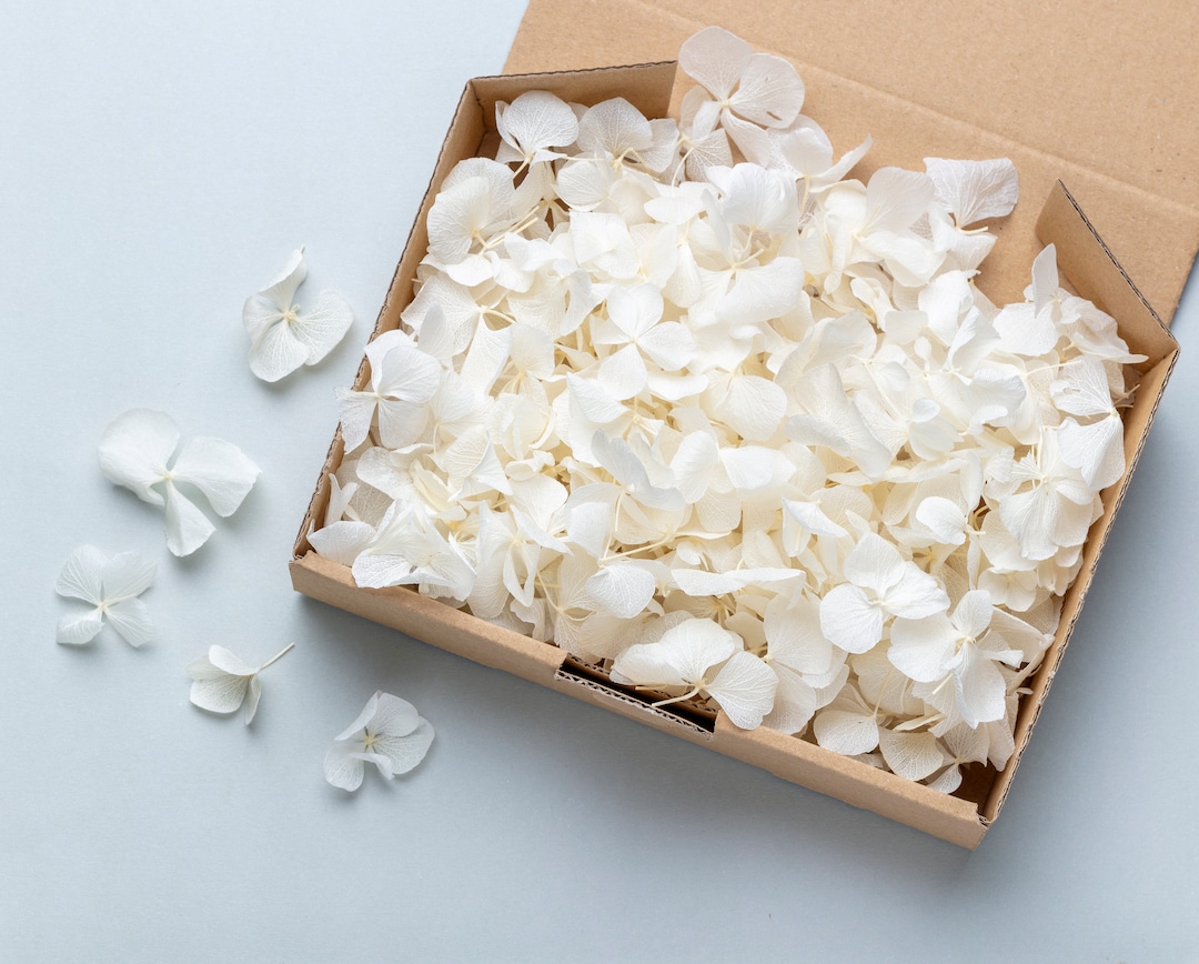 White Hydrangea Confetti, 100% Biodegradable, Natural Table Decoration ...