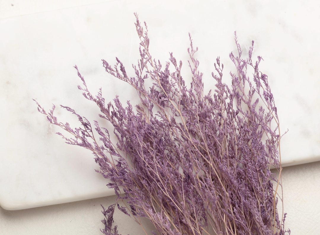 Preserved Caspia, Limonium Bunch, Preserved Statice, Bunch, Diy, Craft ...