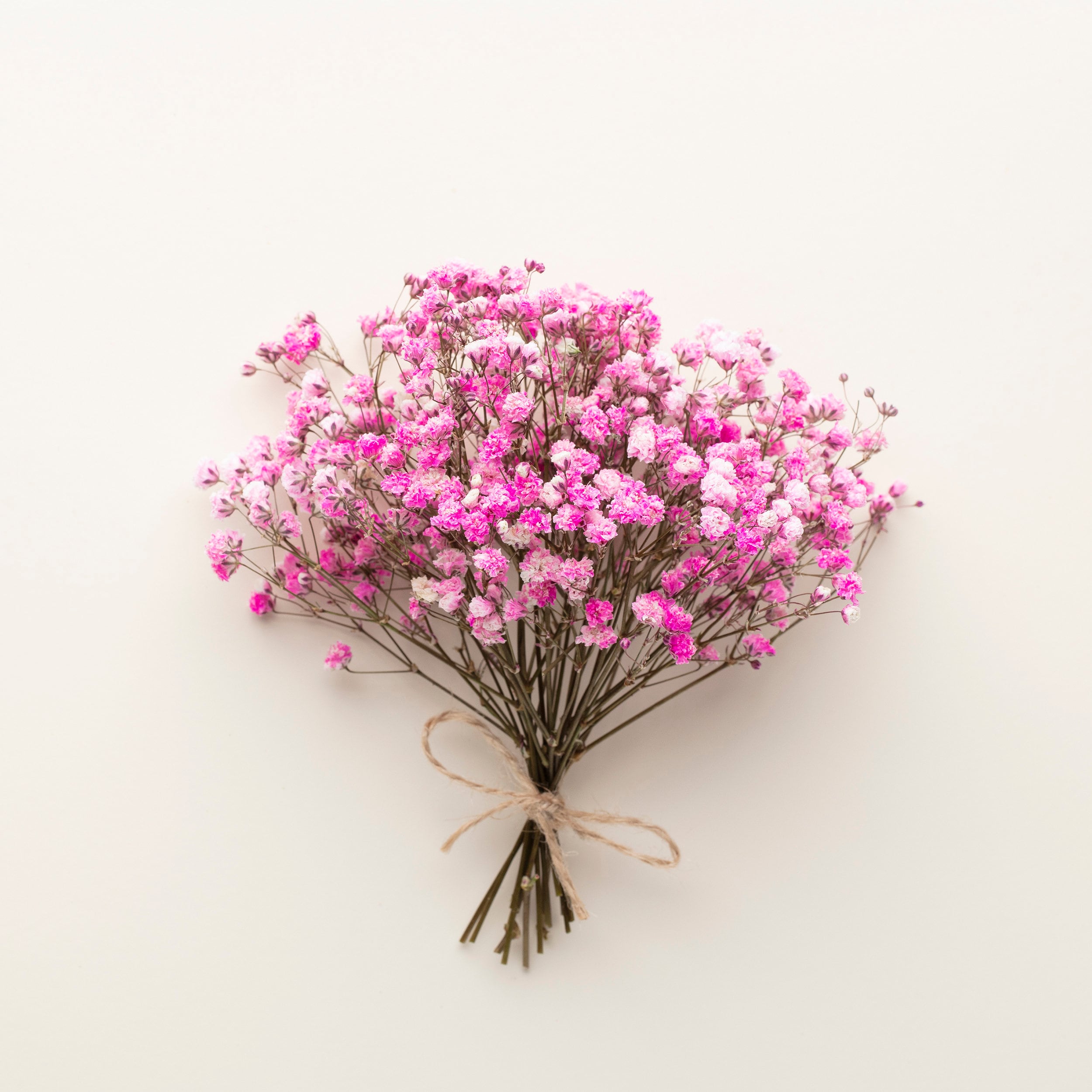 15 Mini Stems Baby's Breath Gypsophila Preserved Pink - Etsy