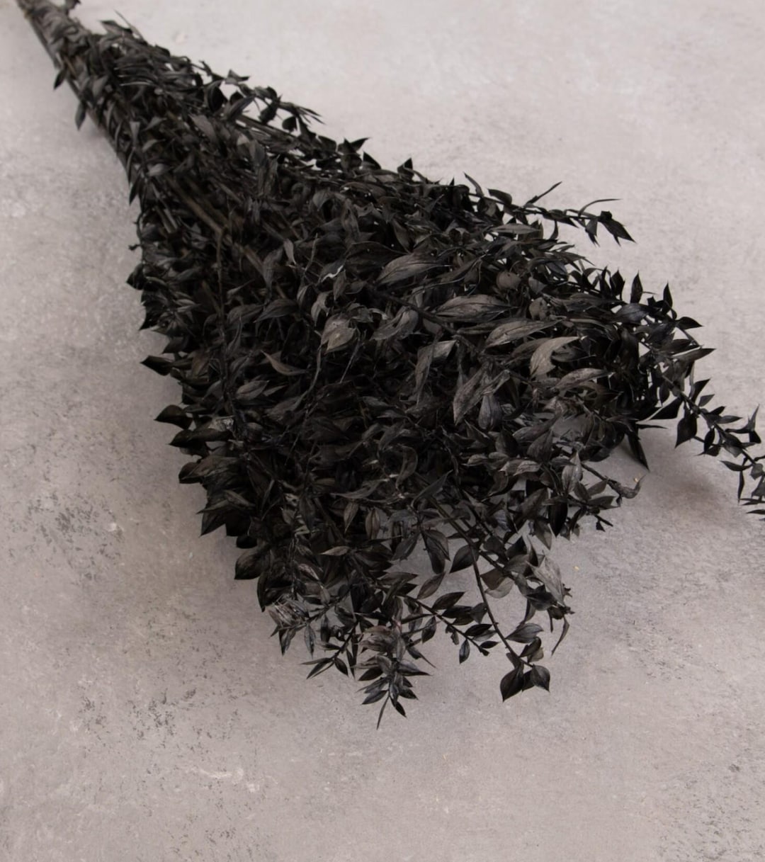 Black Ruscus, Dried Ruscus, Black Bunch, Home Decor, Boho Wedding ...