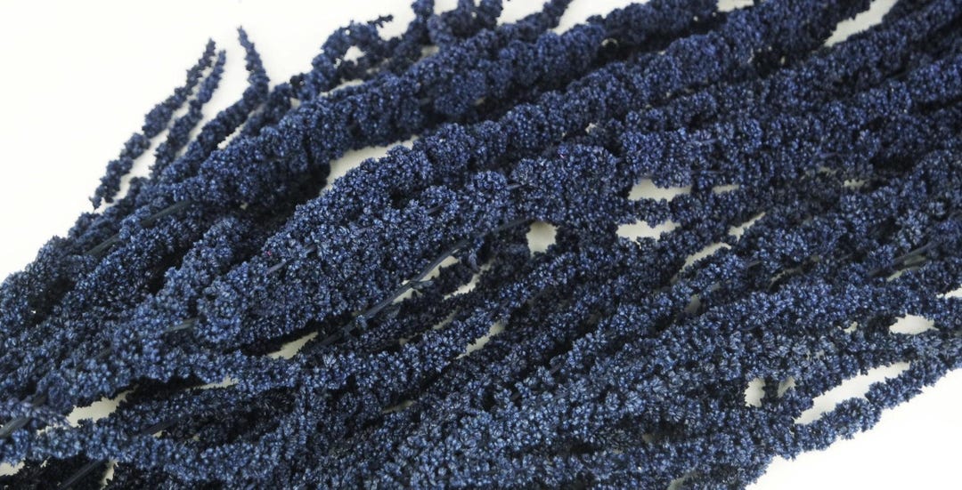 Amaranthus Preserved Blue, Wedding Flowers, Home Decor, Christmas ...