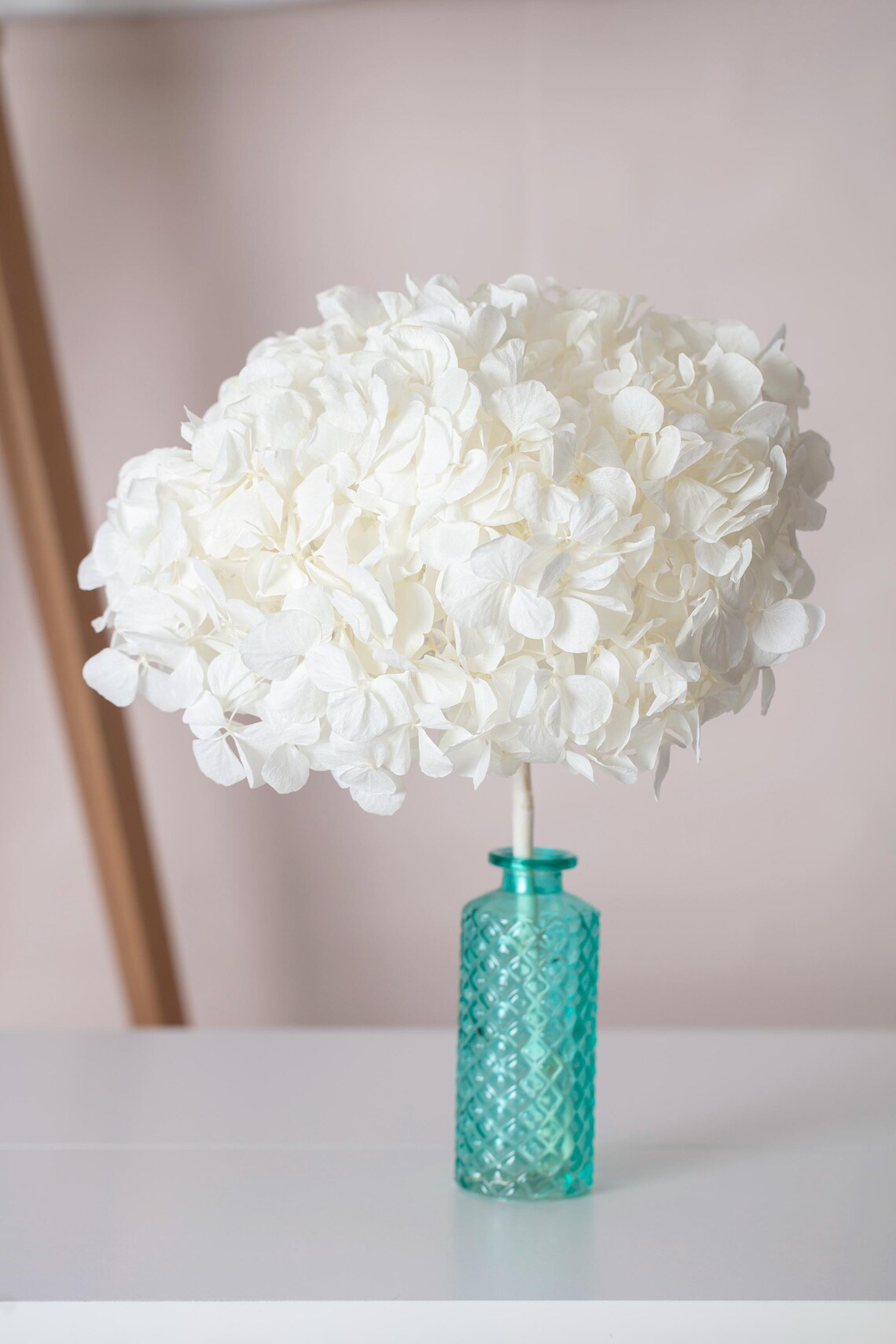 Preserved Hydrangea, Stabilized Flowers, White Hydrangea, High Quality ...