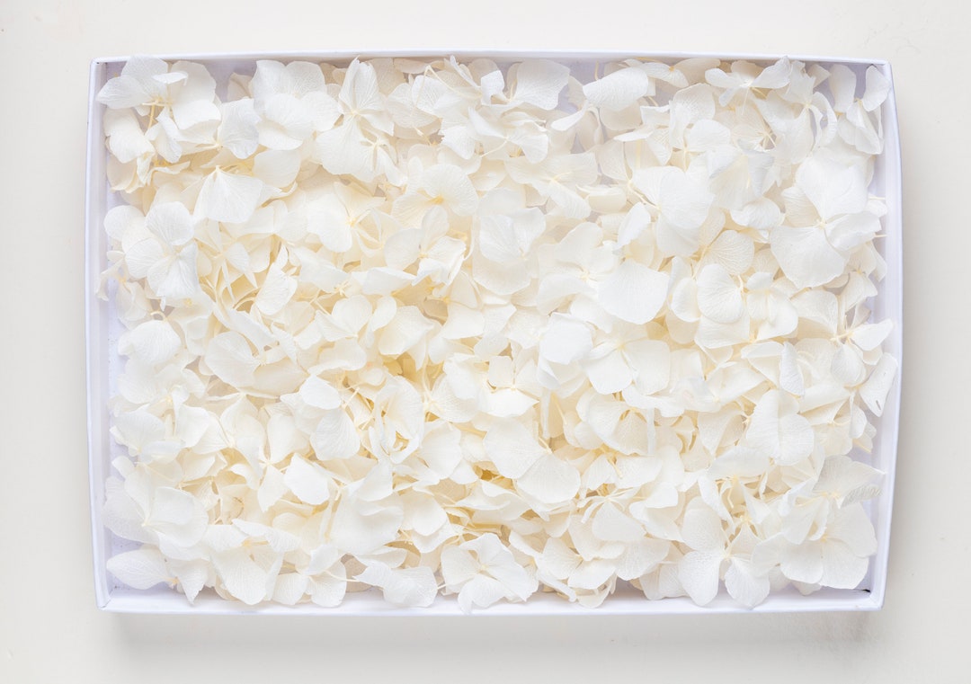 White Hydrangea Confetti, 100% Biodegradable, Natural Table Decoration ...