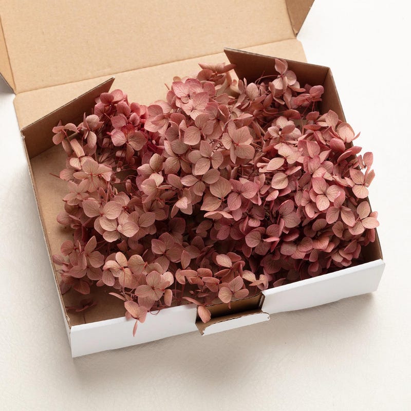 Preserved Hydrangea - Etsy