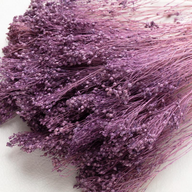 Bloom Broom Flowers - Etsy