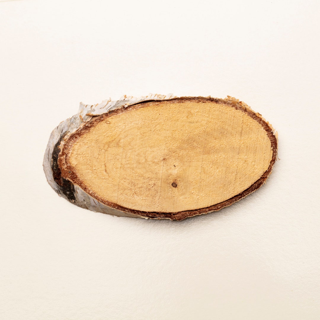 Birch Disc Oval Wooden Disc Tree Disc Birch Branch Disc Tree Discs Bark ...