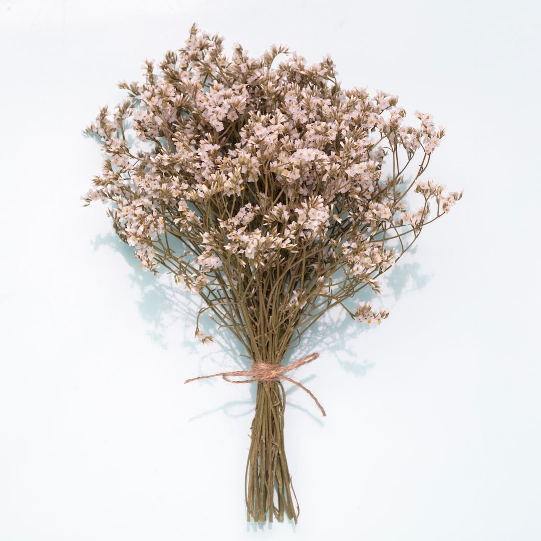 Limonium Sinensis White, Dried Flowers, 10 Real Stems, Natural Limonium ...