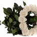 Stabilized, Preserved Rose Stem, Green Stems, İnfinity Rose Stem ...