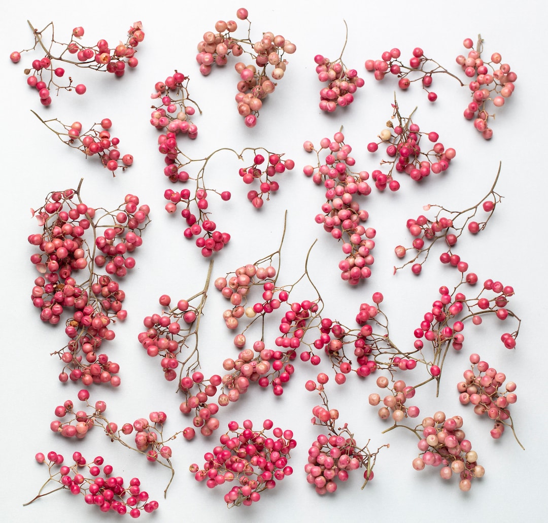 Pepper Tree, Pink Pepper Berry Stems, Dried Flowers, Dried Berries ...
