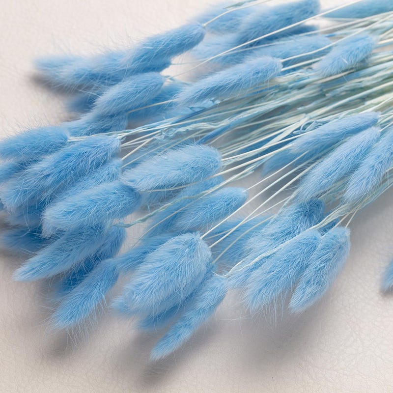 Bunny Tails - Etsy