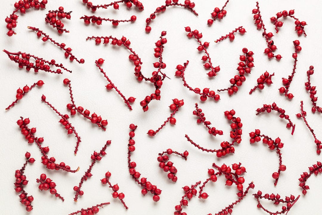 Canella Berries Tree, Pink Pepper Berry Stems, Dried Flowers, Dried ...