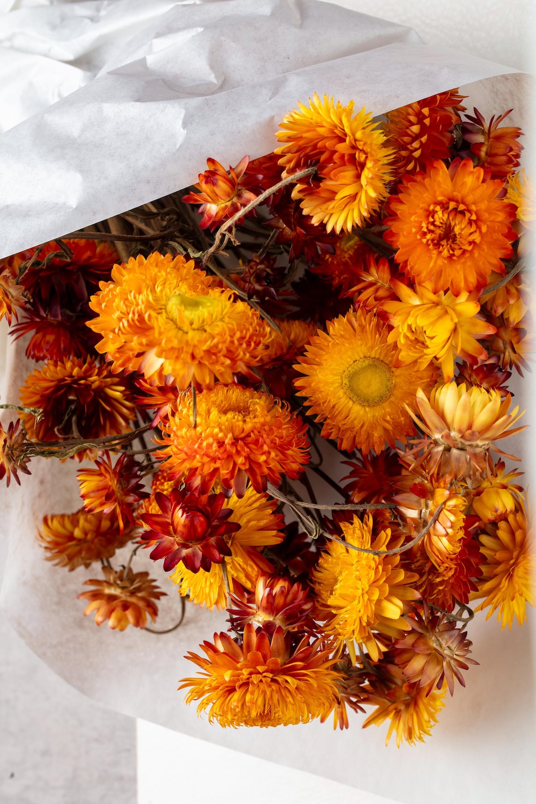 Straw Flower, Helichrysum Bouquet, Dry Straw Helichrysum Flower for ...